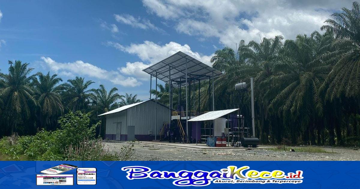 Wow, Pabrik Mini Pengolahan Kelapa Sawit Dibangun di Samalore Dekat HGU ...